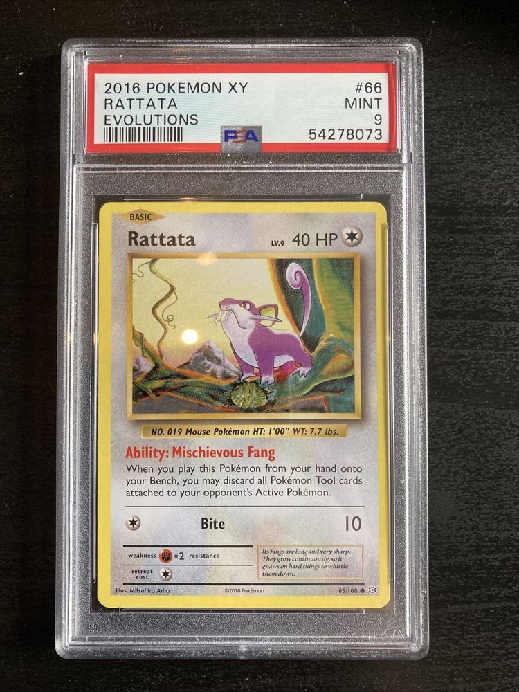 Pokemon Rattata Evolution Level