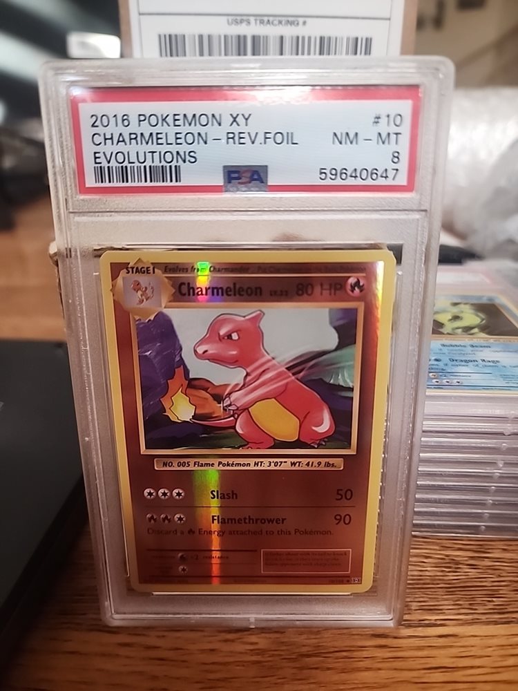 Auction Prices Realized Tcg Cards 2016 POKEMON XY EVOLUTIONS Charmeleon-Reverse Foil