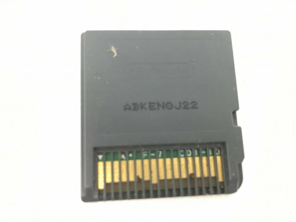 Nintendo DS Game Chameleon