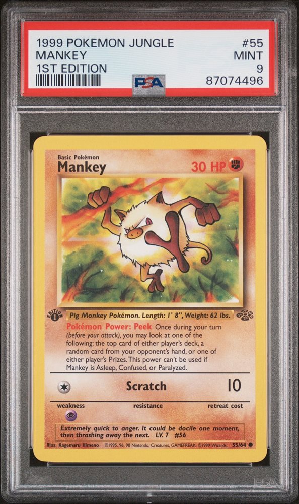 eBay Auction Item 127147111114 Tcg Cards 1999 Pokemon Jungle