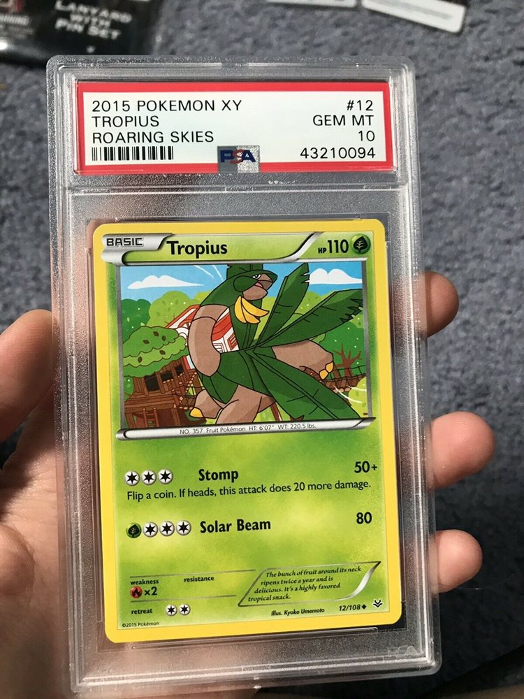 Tropius Pokemon Card