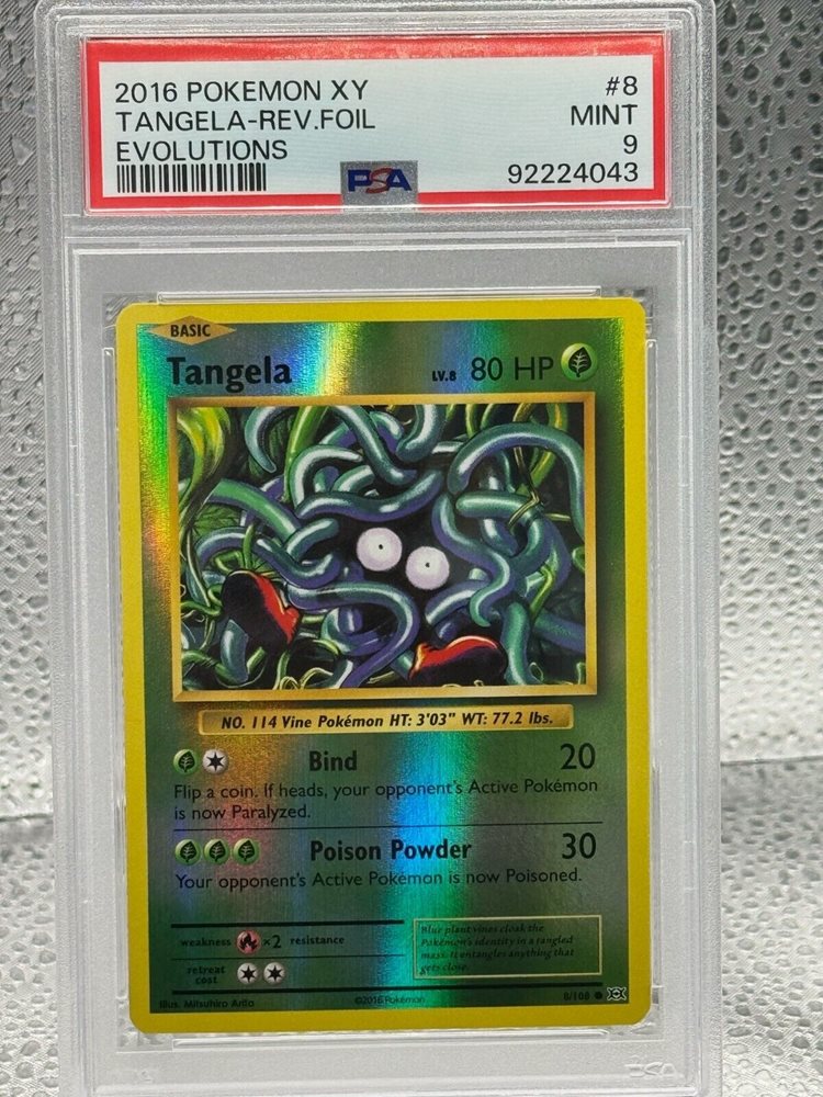 eBay Auction Item 395451045724 Tcg Cards 2016 Pokemon Xy Evolutions