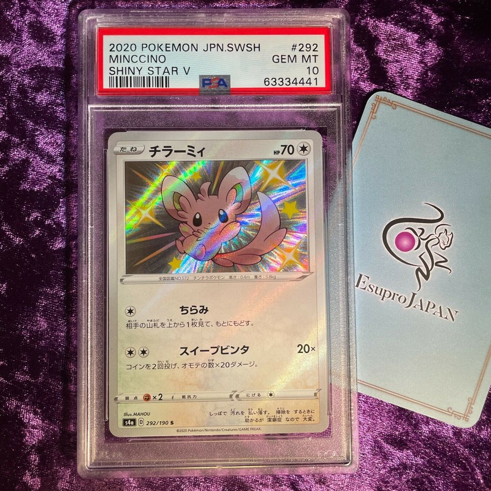 Minccino Card