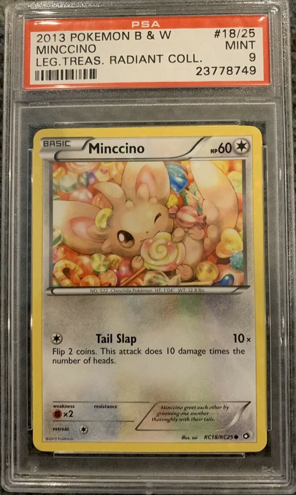 Minccino Card