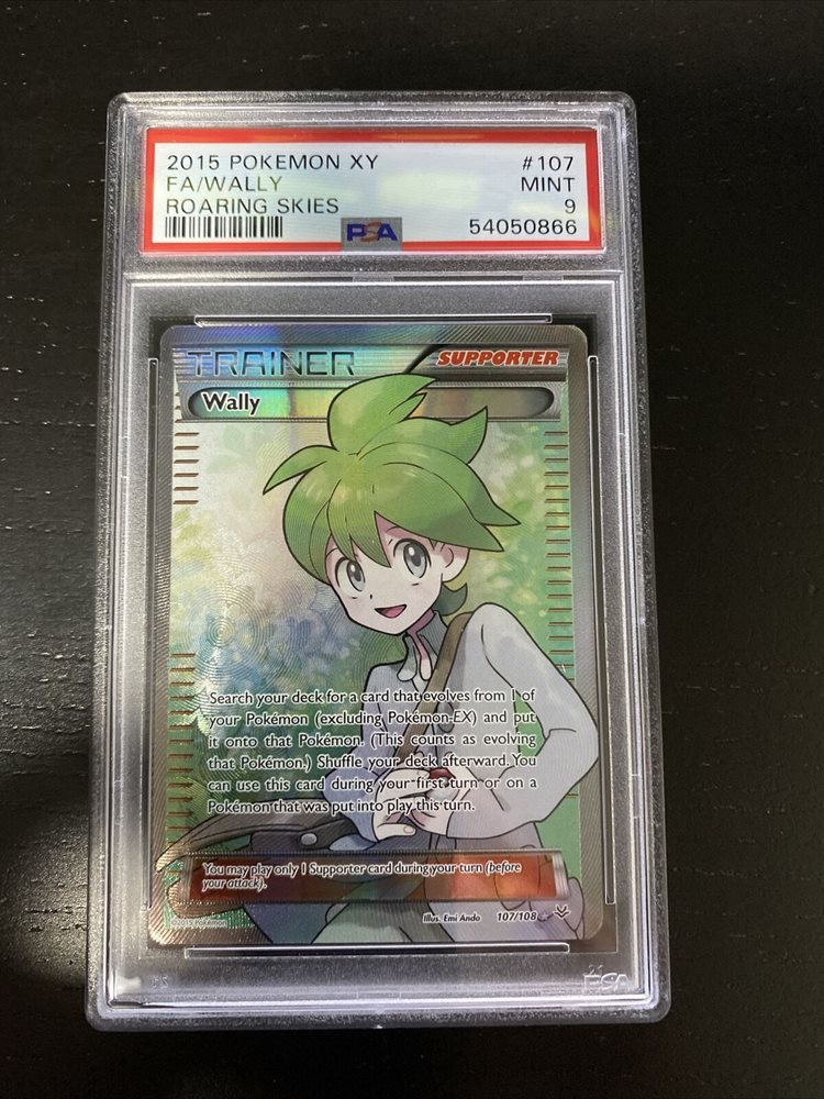 Wally Pokemon Trainer