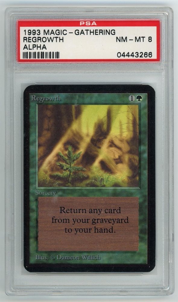 eBay Auction Item 192642304235 Tcg Cards 1993 Magic The Gathering