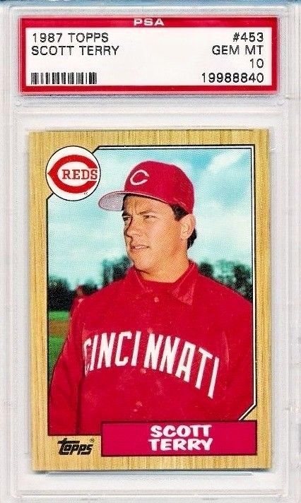 Auction Prices Realized Baseball Cards 1987 Topps Scott Terry